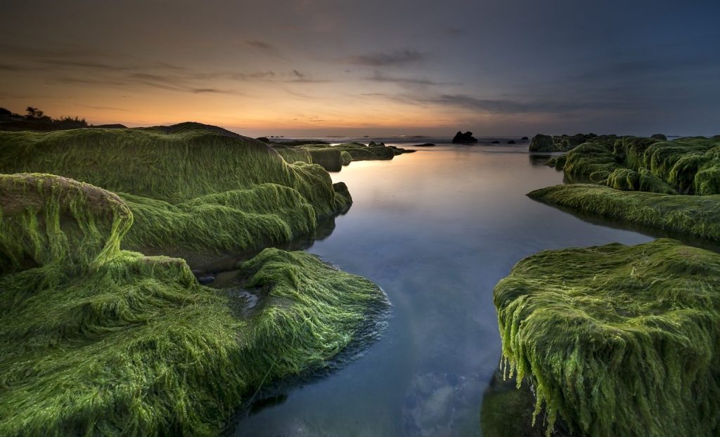 onezoo.cf.ac.uk – A NERC, BBSRC and MRC Centre for Doctoral Training on ...